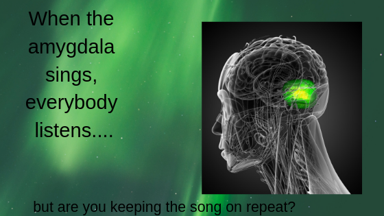 Amygdala Memes
